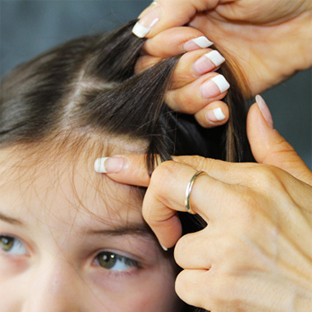 Vandaag massaal luizen kammen - Healthylives.nl